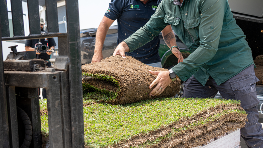 Brisbane First Home Buyer's Guide to Getting Your Yard Right | GoTurf