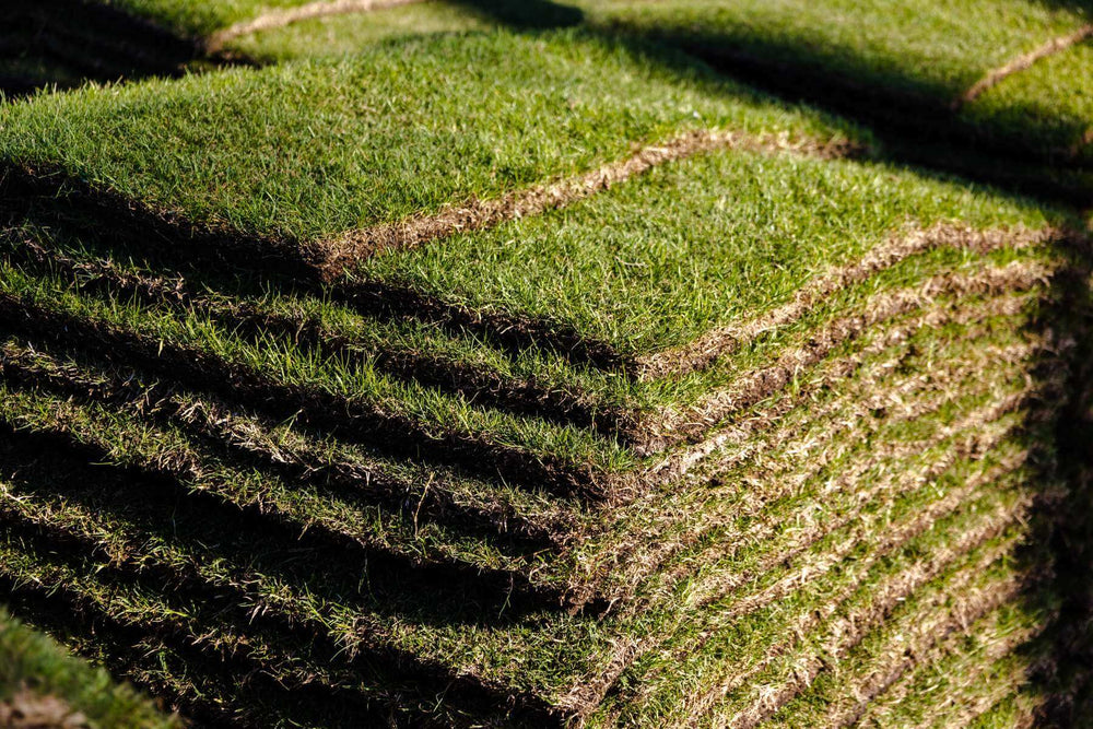 Preparation Services