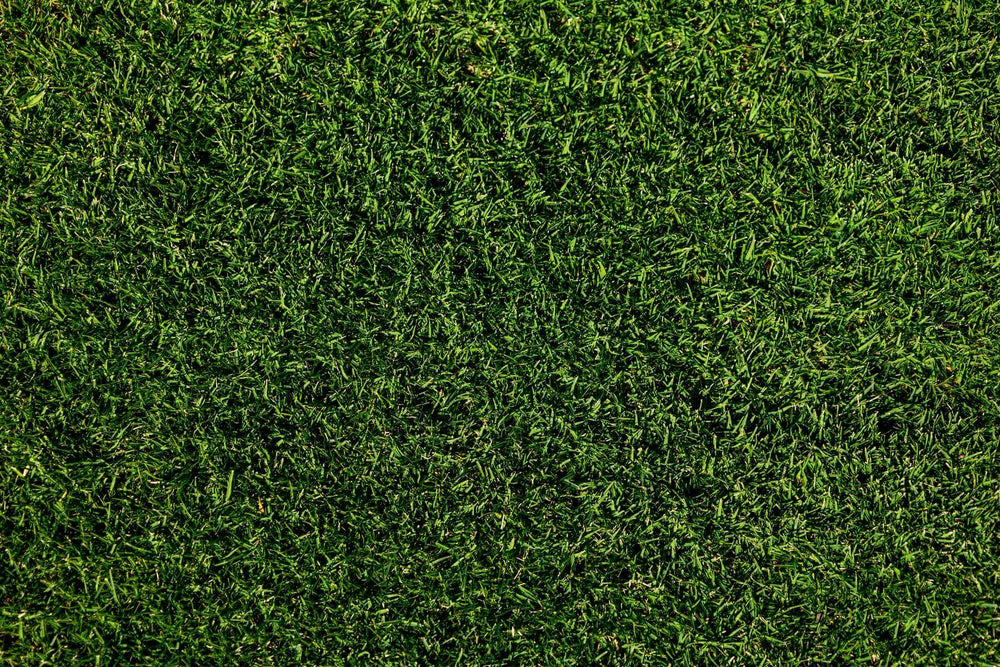 Preparation Services