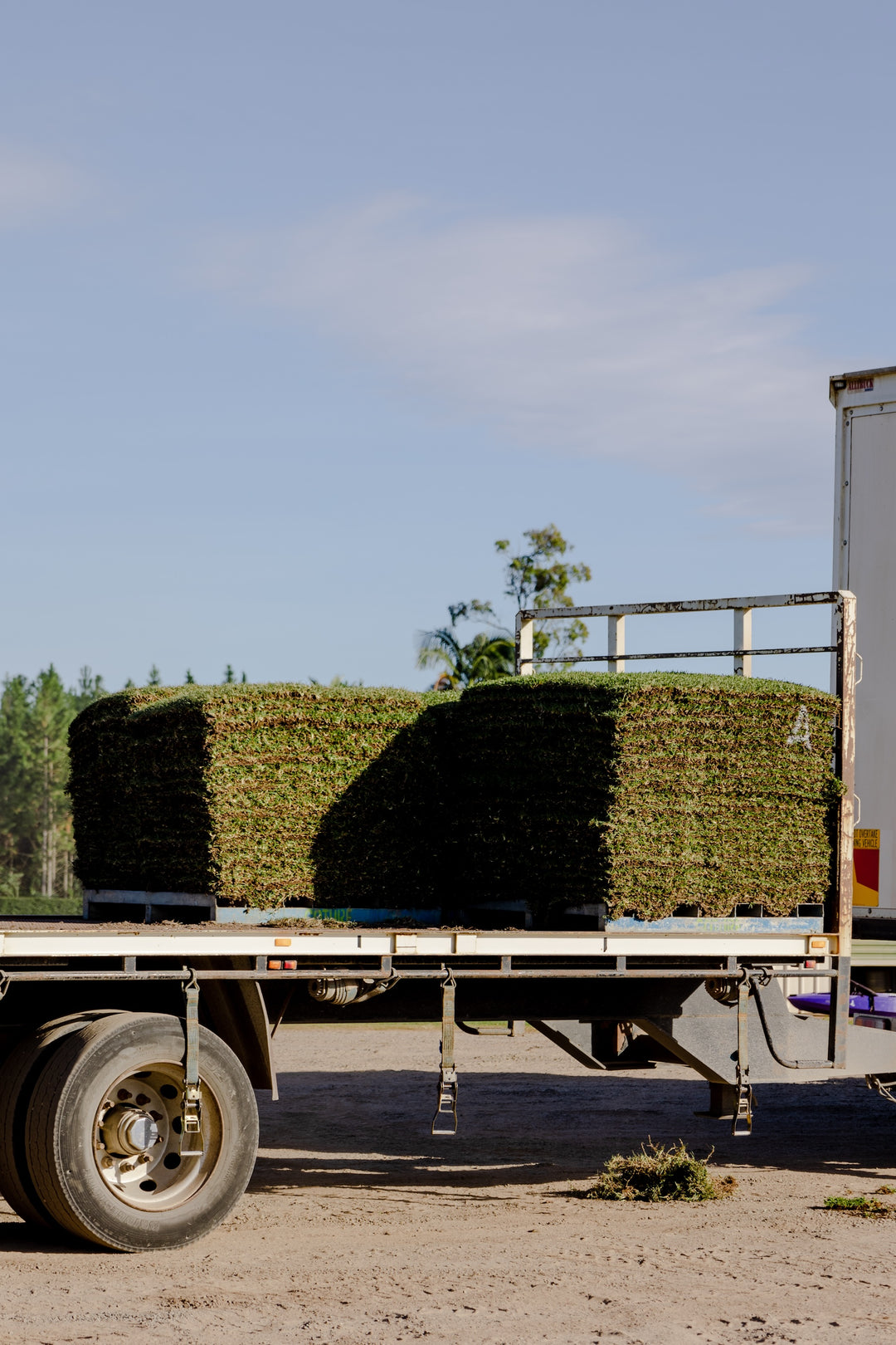 GoTurf - South East Queensland's top provider of lush, green turf