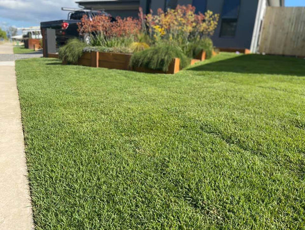 GoTurf - South East Queensland's top provider of lush, green turf