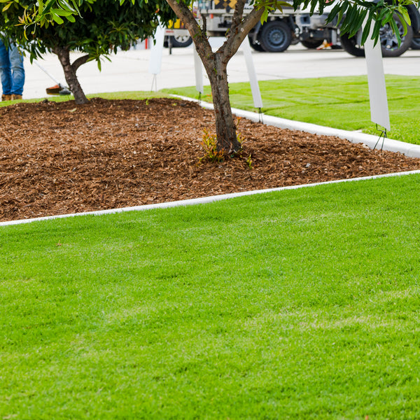 Nullarbor Couch Turf - Fine Blade, Full Sun Fertiliser Friendly – GoTurf