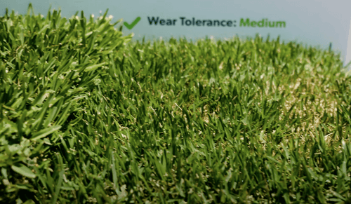 GoTurf - South East Queensland's top provider of lush, green turf